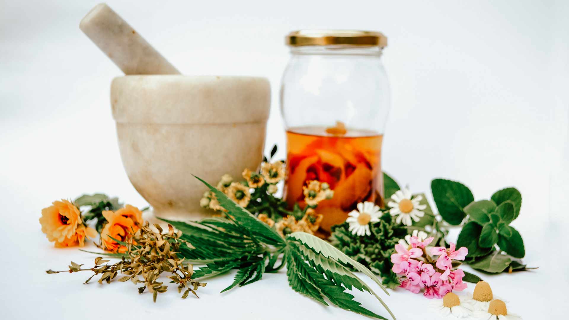 MEDICINA BOTÁNICA – Curso en línea | Siembra Natural