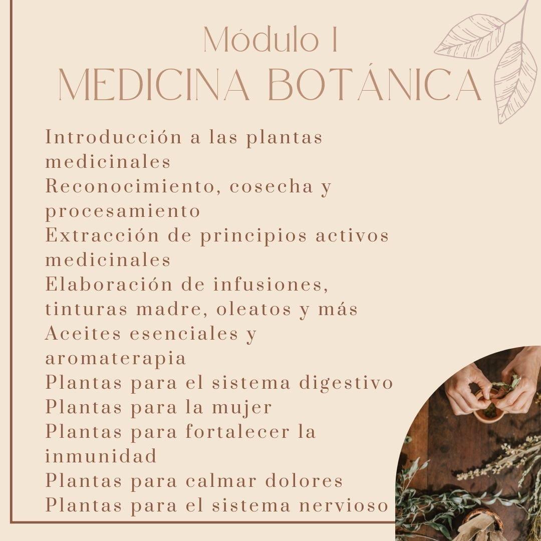 MEDICINA BOTÁNICA – Curso en línea | Siembra Natural