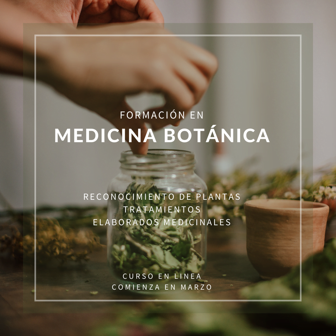 MEDICINA BOTÁNICA – Curso en línea | Siembra Natural