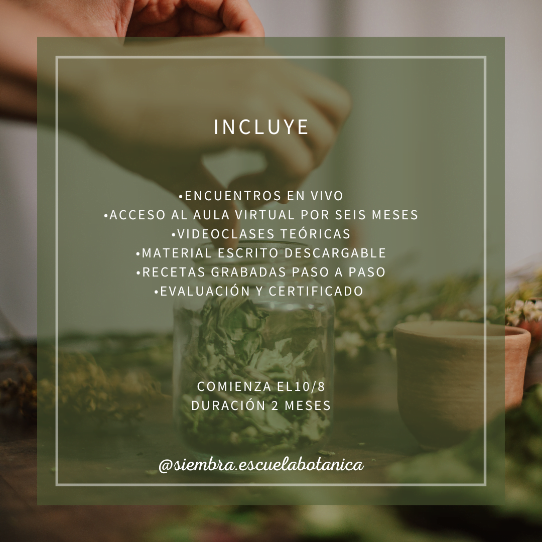 MEDICINA BOTÁNICA – Curso virtual | Siembra Natural